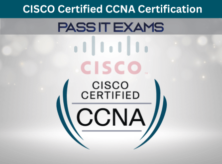 Pass IT Exams - Valid & Authentic Exam Dumps 2025